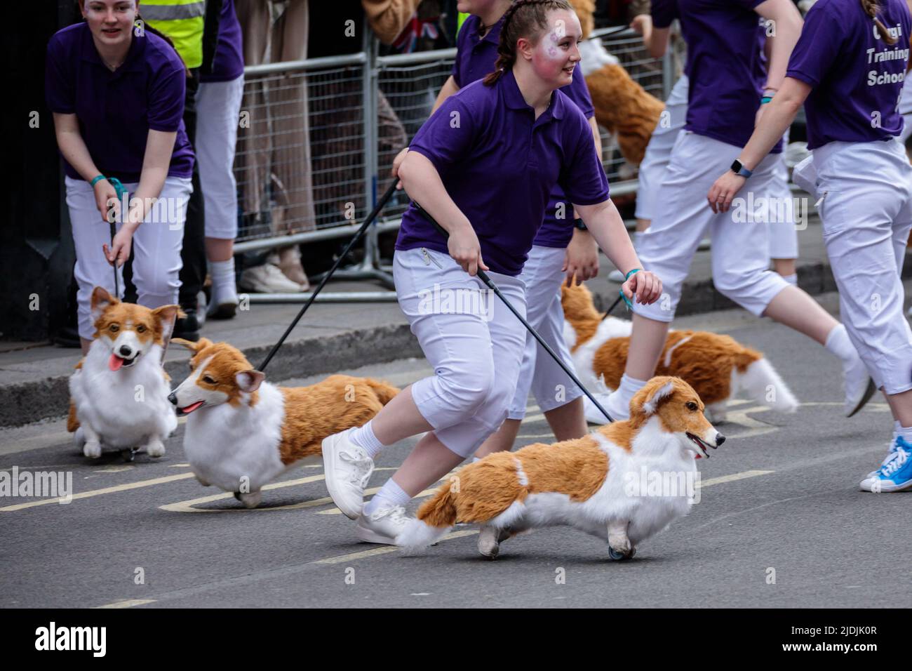 Toy Corgis from the Corgi Traning School entertain the crowd at The ...