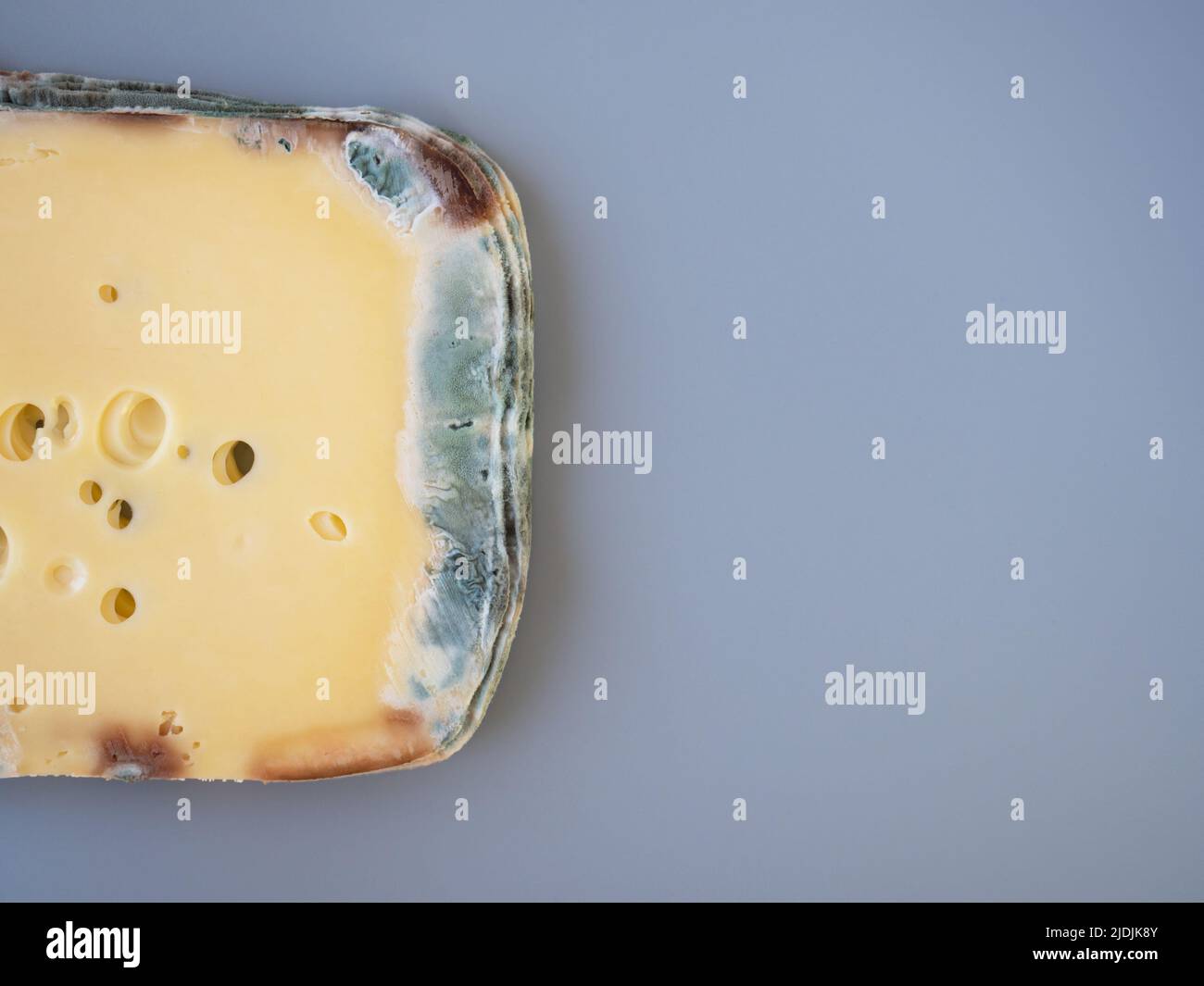 Expired moldy hard cheese purchased at the supermarket. Wastage of ...