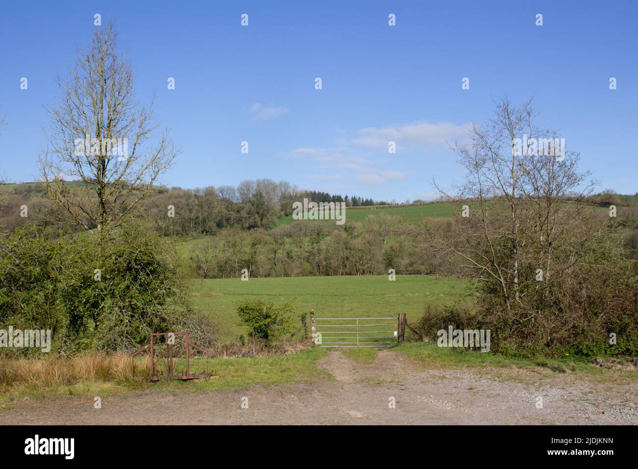 typical bucolic Devon landscape of field gates , fences and green ...