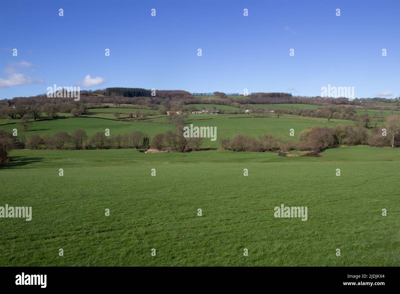 typical Devon farmland with fields, hedgerows and hills with a clear ...