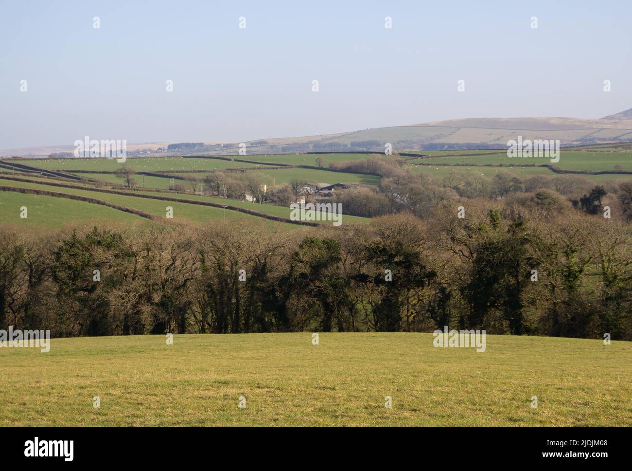 typical North Devon farm land with the Dartmoor National Park in the ...