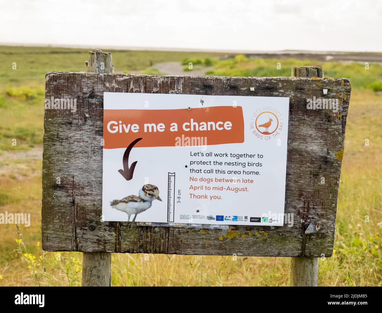 A warning sign about nesting Ringed Plover, Charadrius hiaticula on ...