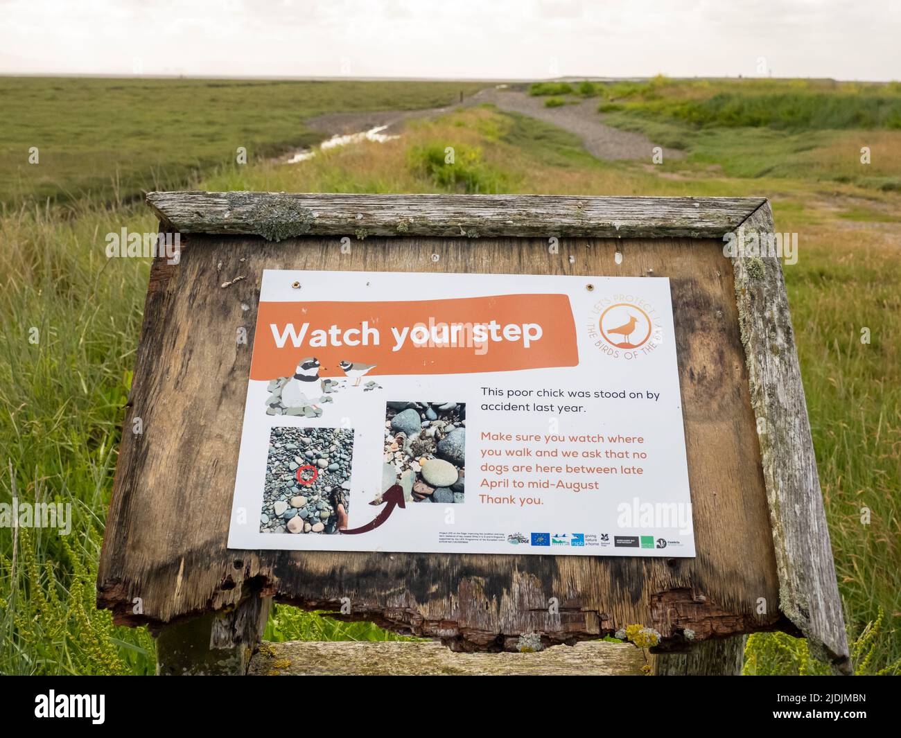 A warning sign about nesting Ringed Plover, Charadrius hiaticula on ...