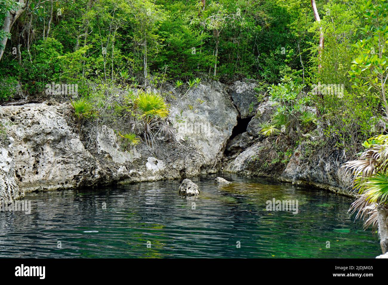 Cenote in cuba hi-res stock photography and images - Alamy
