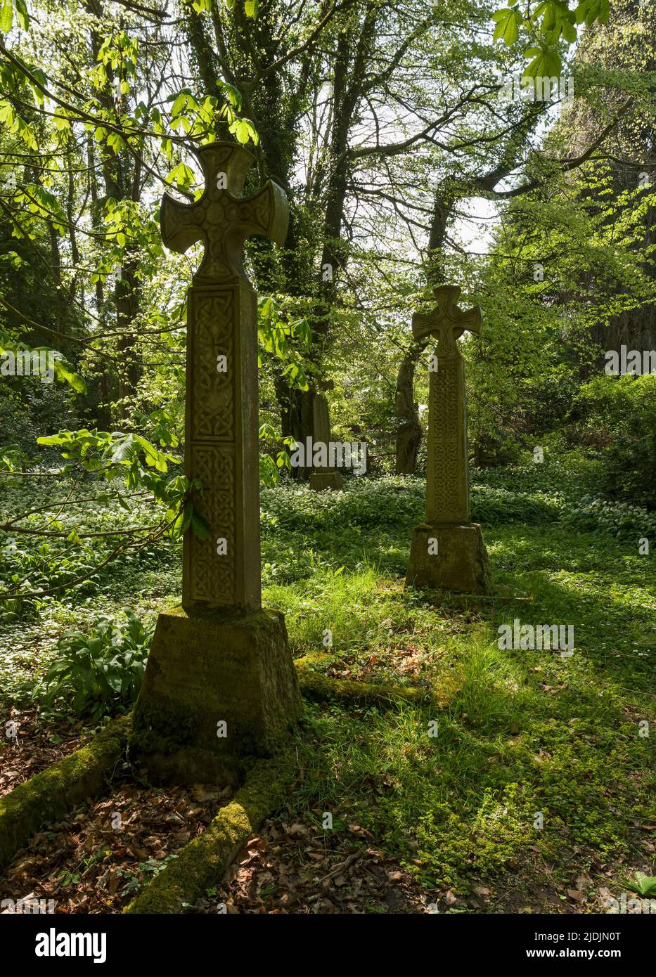 Celtic cross in yard of Parish Church of St Andrew at Bothal in ...