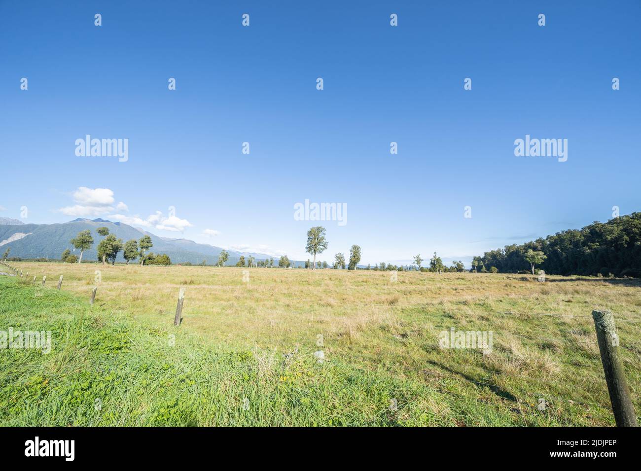 Wide angle rural landscape of field, fence and distant trees under ...