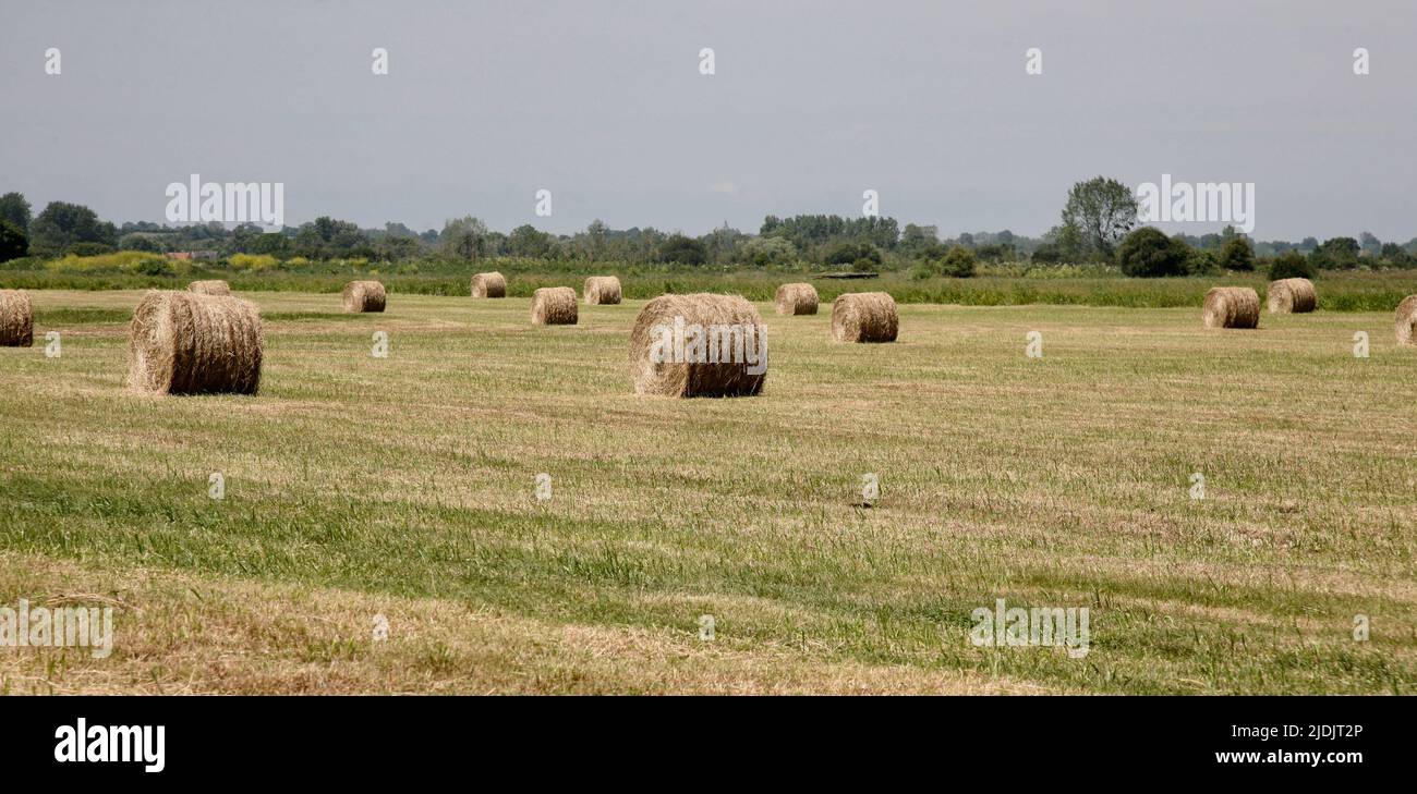 French farm haymaking hi-res stock photography and images - Alamy