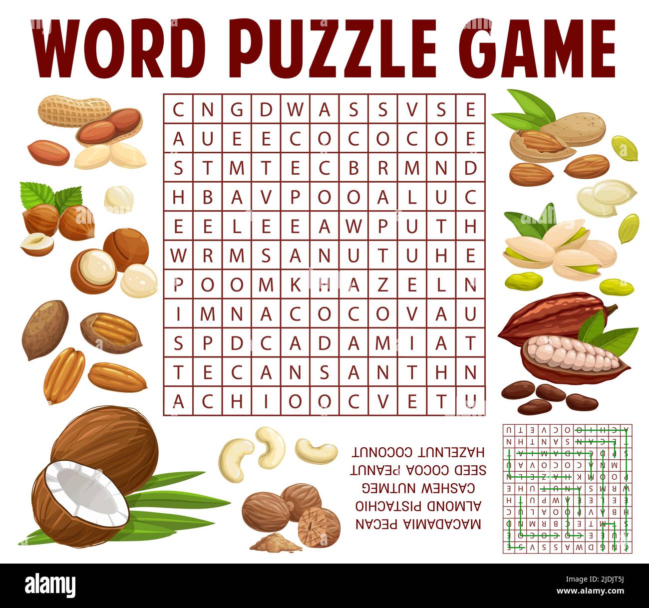 Nuts and kernels word search puzzle game vector worksheet. Kids quiz ...