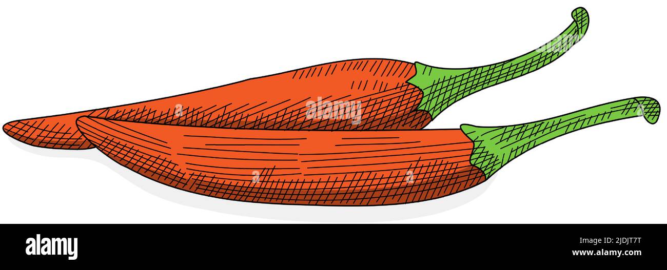 Red hot chili peppers hand drawn sketch. Red hot chili peppers ...