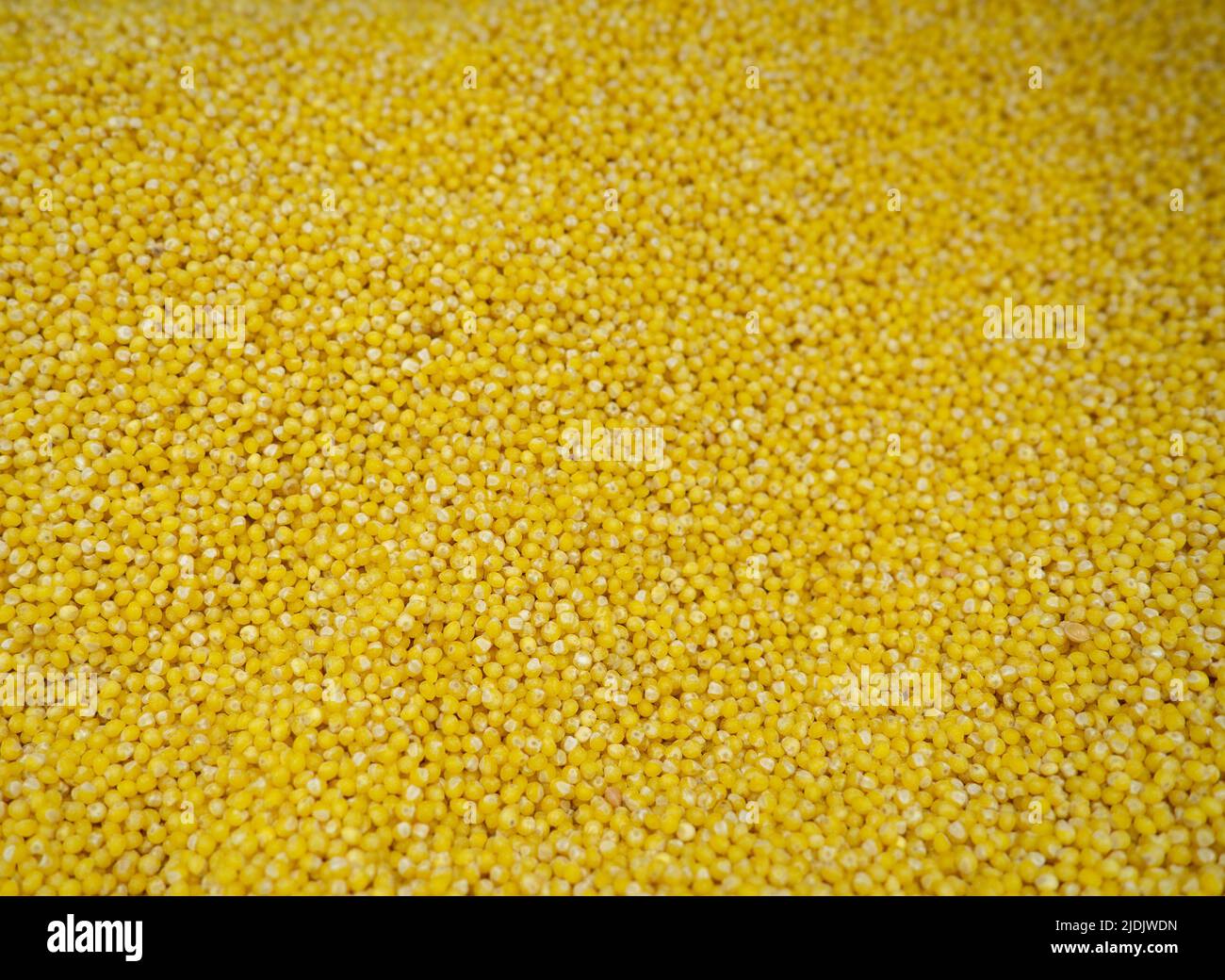 Millet background. Ingredient for millet porridge. Natural food ...