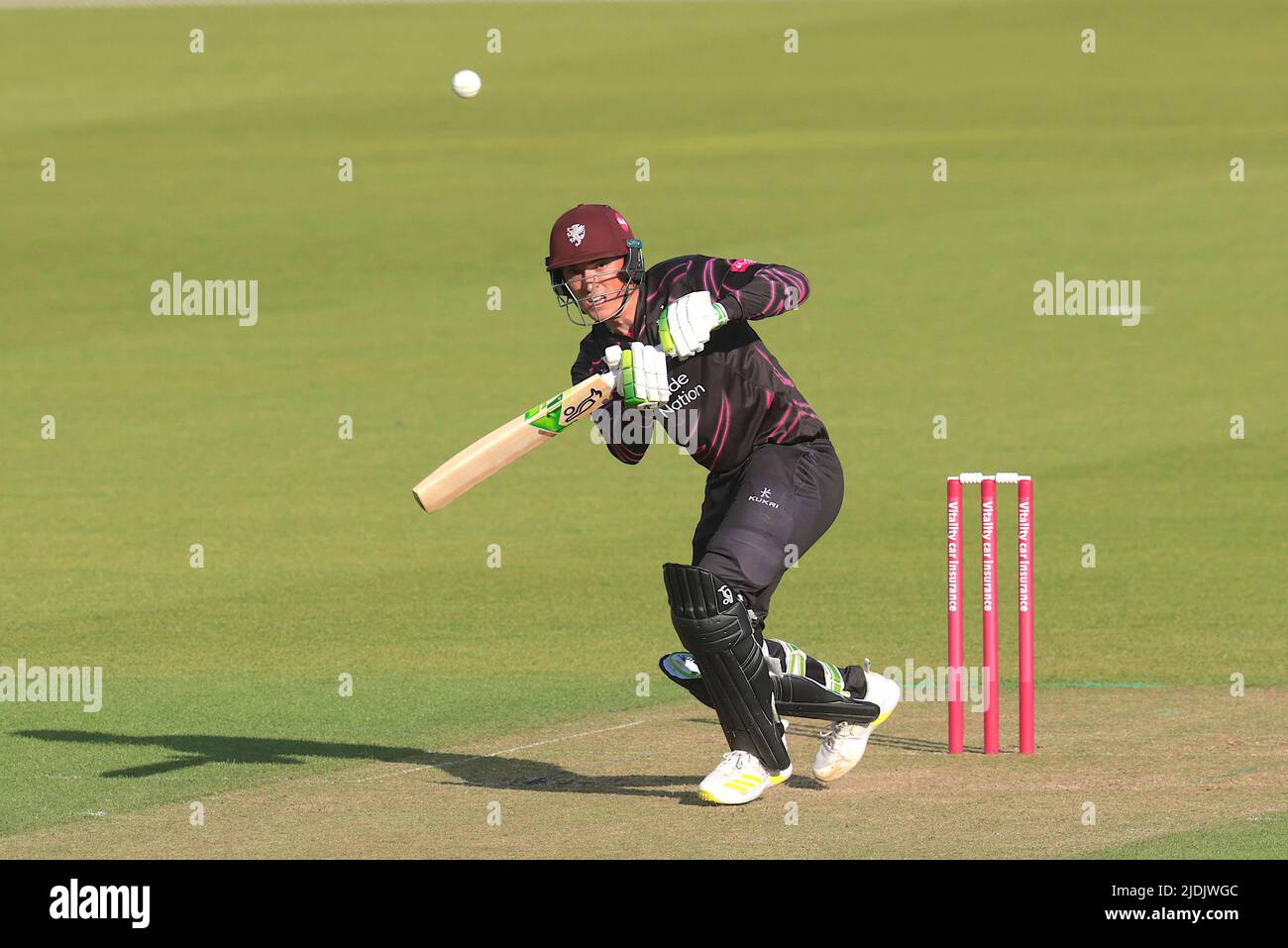 Tom banton somerset hi-res stock photography and images - Alamy