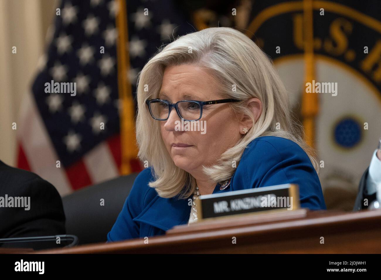 Representative Liz Cheney(R-WY) participates in a House select ...