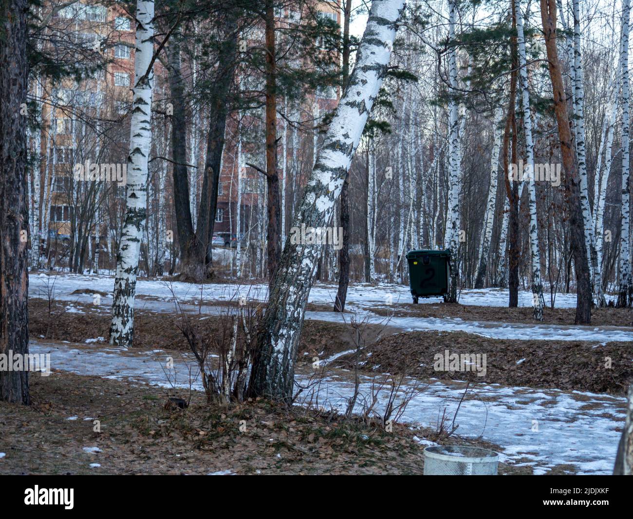 trash can in the forest. Park on the outskirts of the city. Nature ...