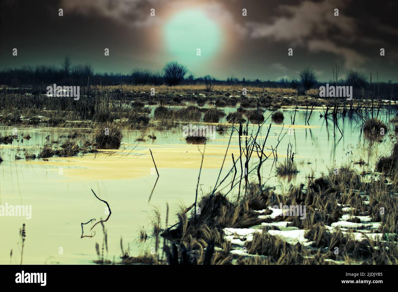 Winter views of lowland moor with yellow rotten ice, dry trees and ...