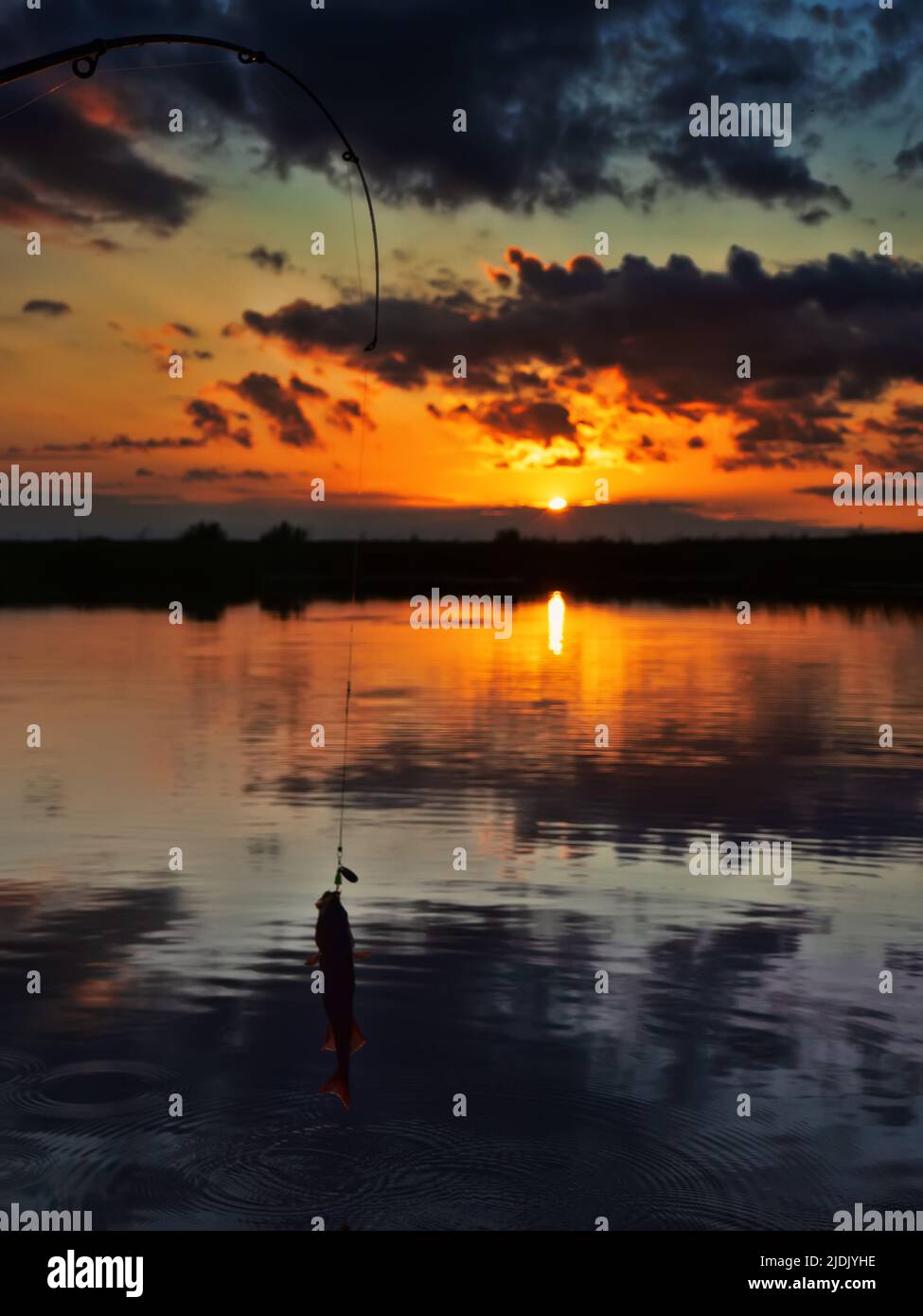 Fishing at sunset. Catching predatory fish on spinning. Sunset colors ...