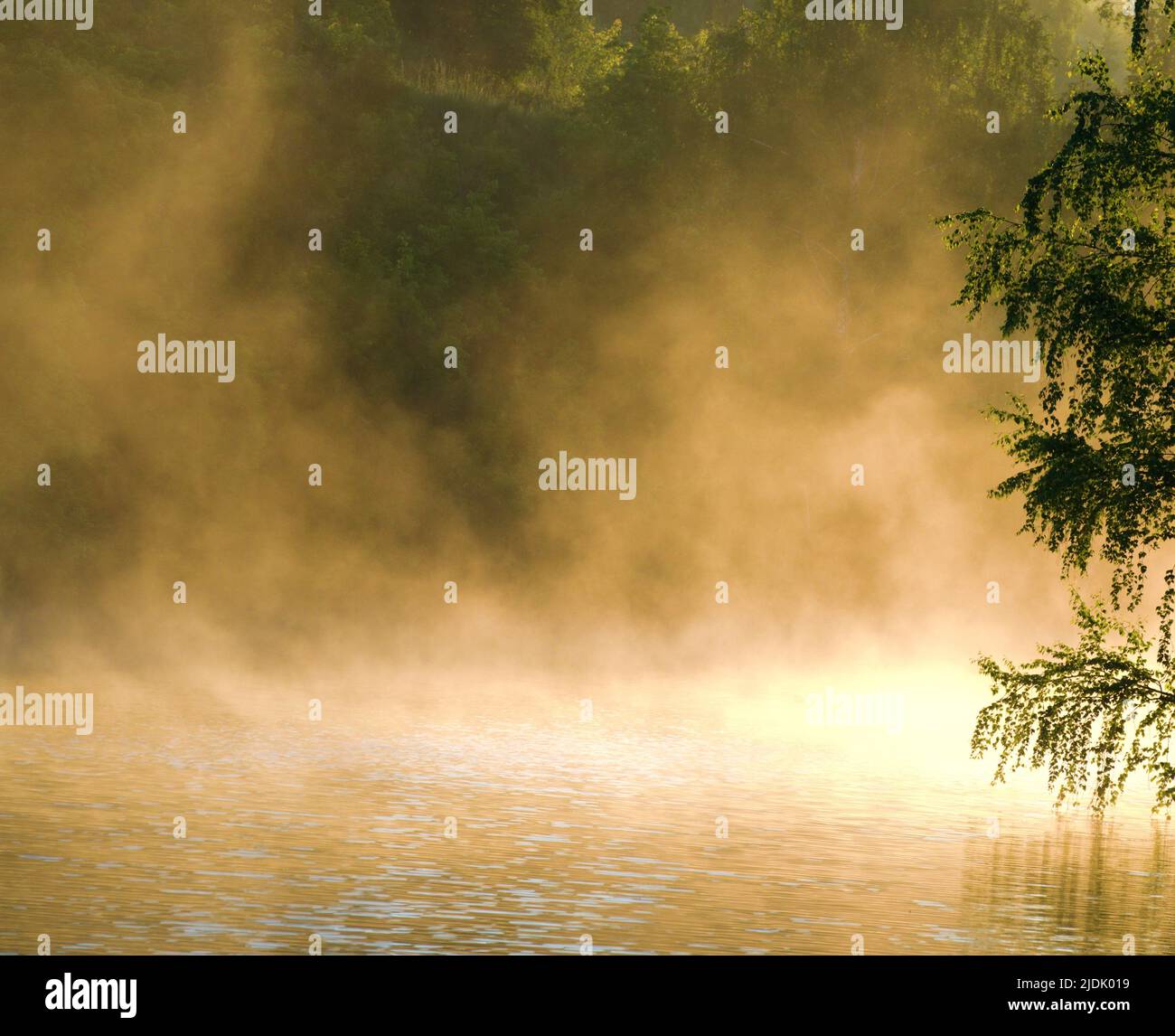 Misty sunny morning, summer landscape. Fog is born on the surface of ...