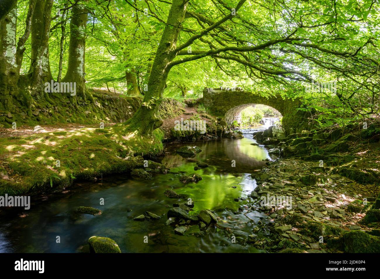 The Weir Water river flowing under Robbers Bridge in Exmoor National ...
