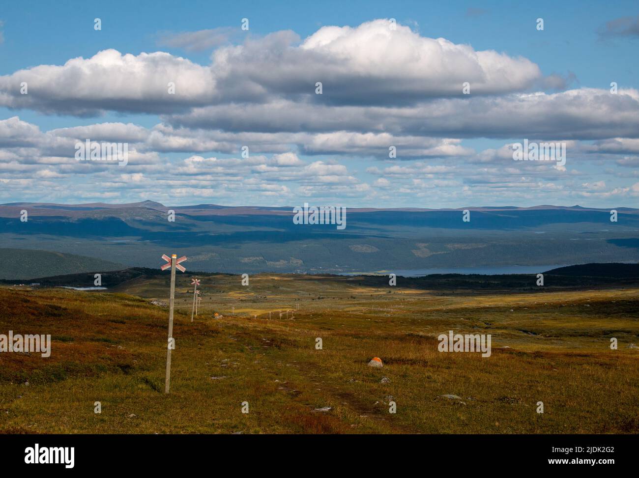 August in lappland hi-res stock photography and images - Alamy
