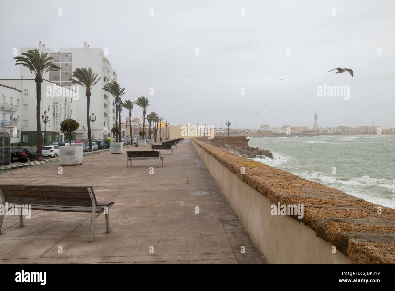 Promenade of Cadiz, beautiful Andalusian city, south of Spain Stock ...