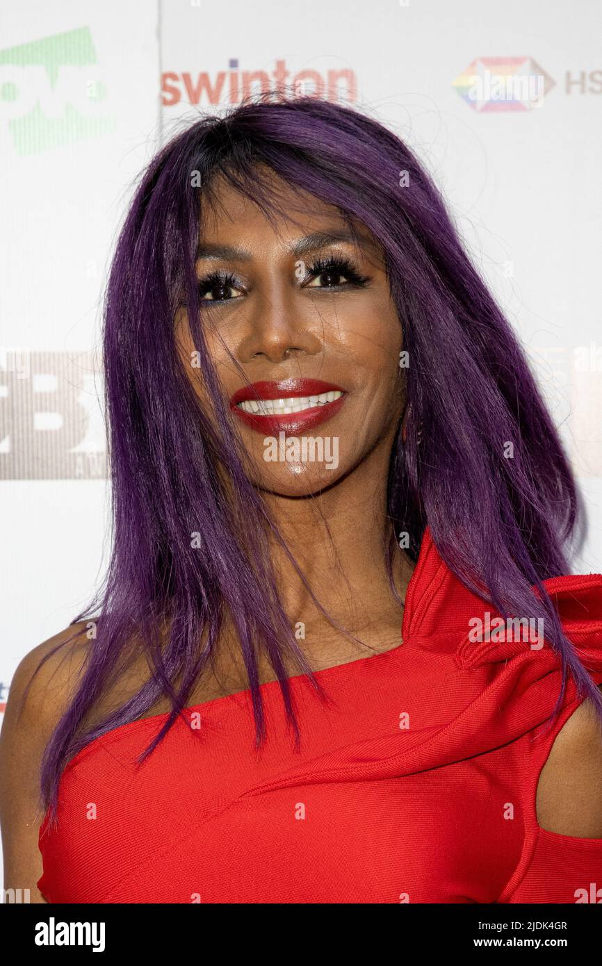 The British LGBT Awards 2021 at The Brewery Featuring: Sinitta Where ...