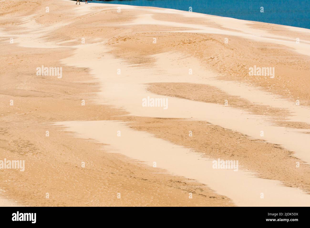 Sand Dunes at Silver Lake State Park, Michigan Stock Photo - Alamy