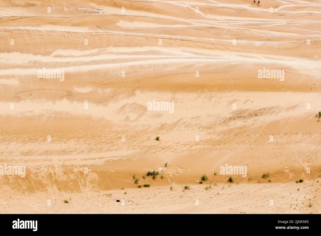 Sand Dunes at Silver Lake State Park, Michigan Stock Photo - Alamy