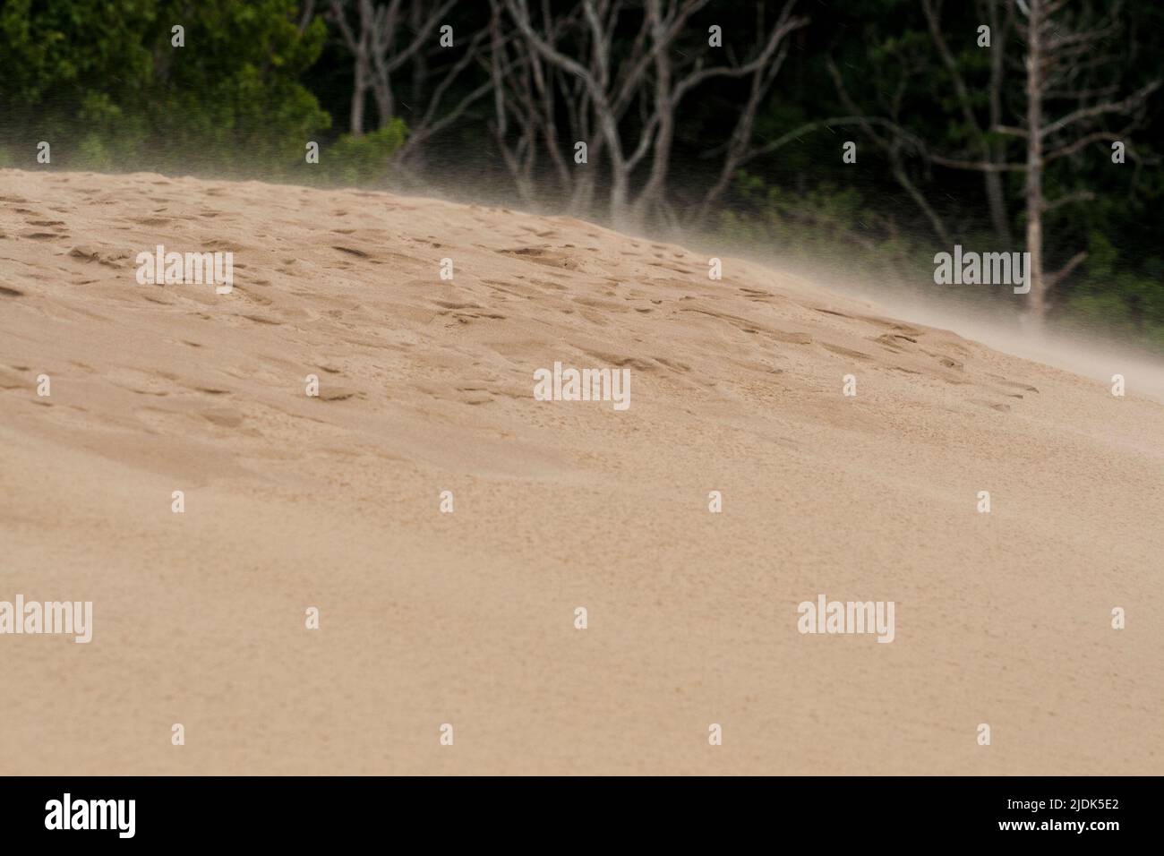 Sand Dunes at Silver Lake State Park, Michigan Stock Photo - Alamy