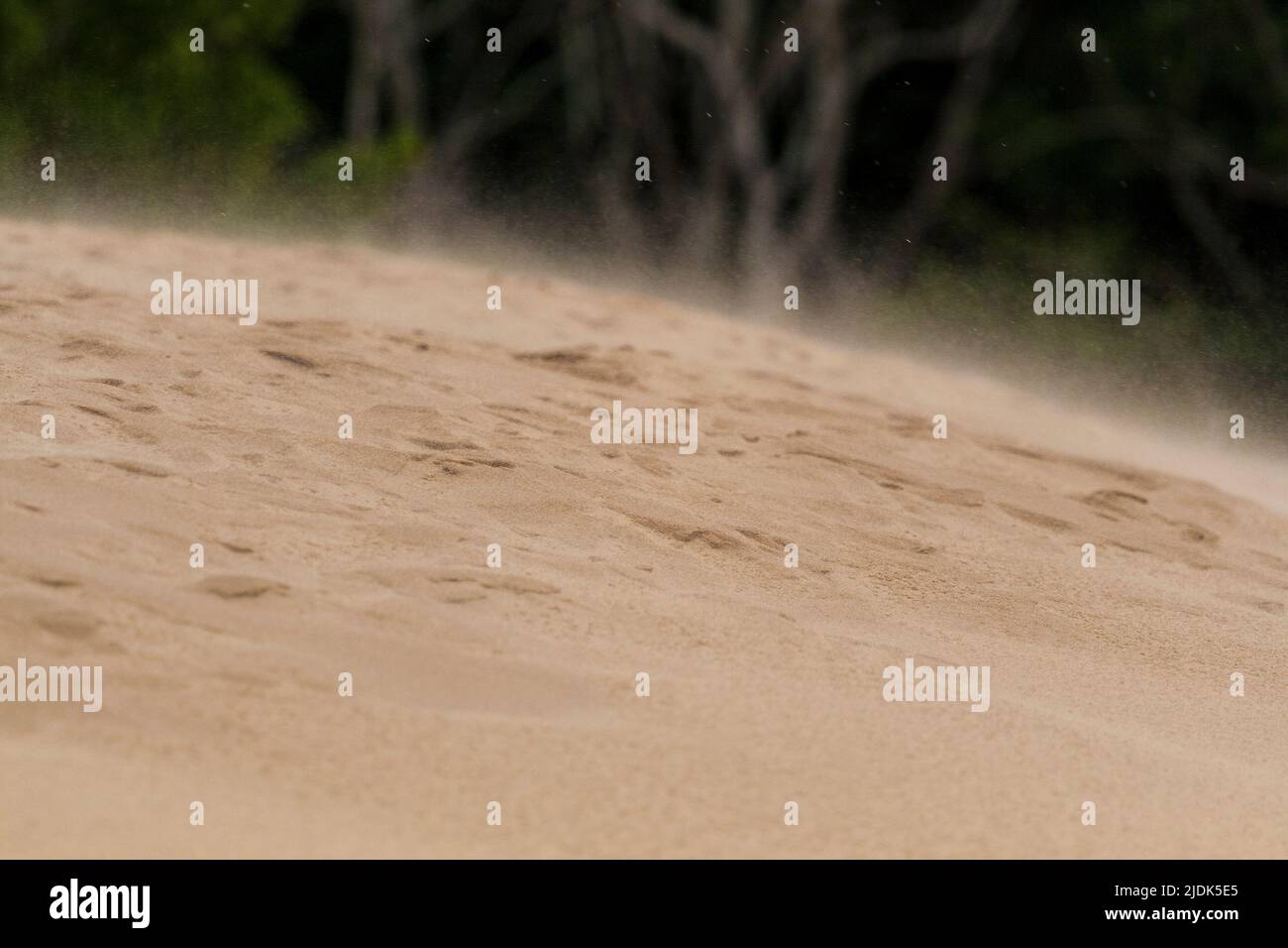 Sand Dunes at Silver Lake State Park, Michigan Stock Photo - Alamy