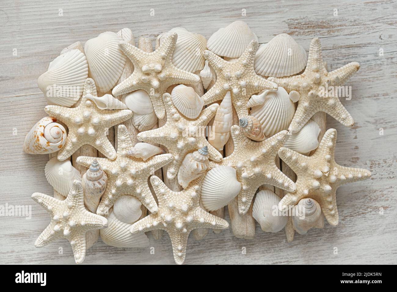 Marine wallpaper.Starfish and sea shells . Summer wallpaper in a marine ...