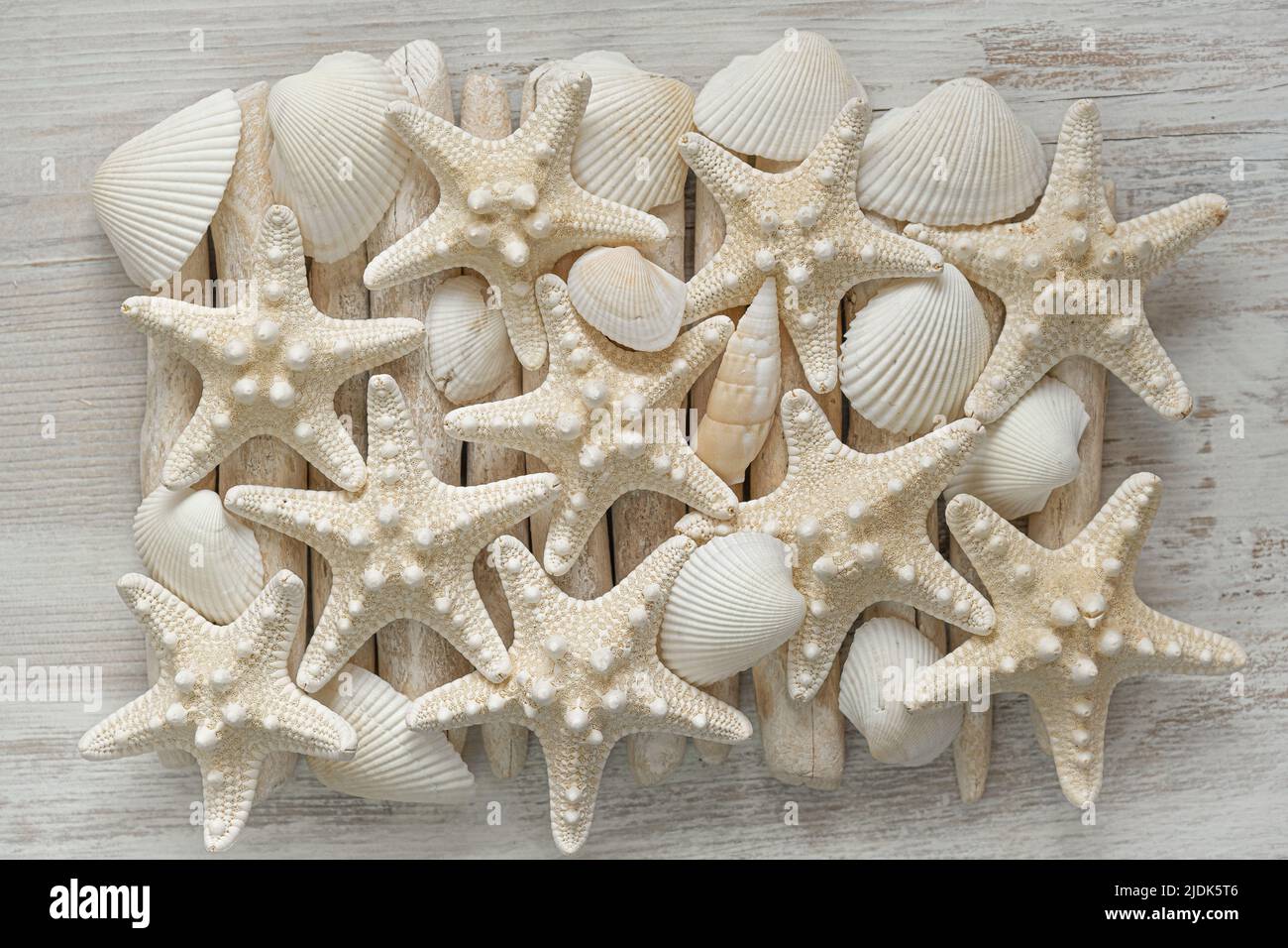 nautical decor.Marine wallpaper.Starfish and sea shells. Summer ...