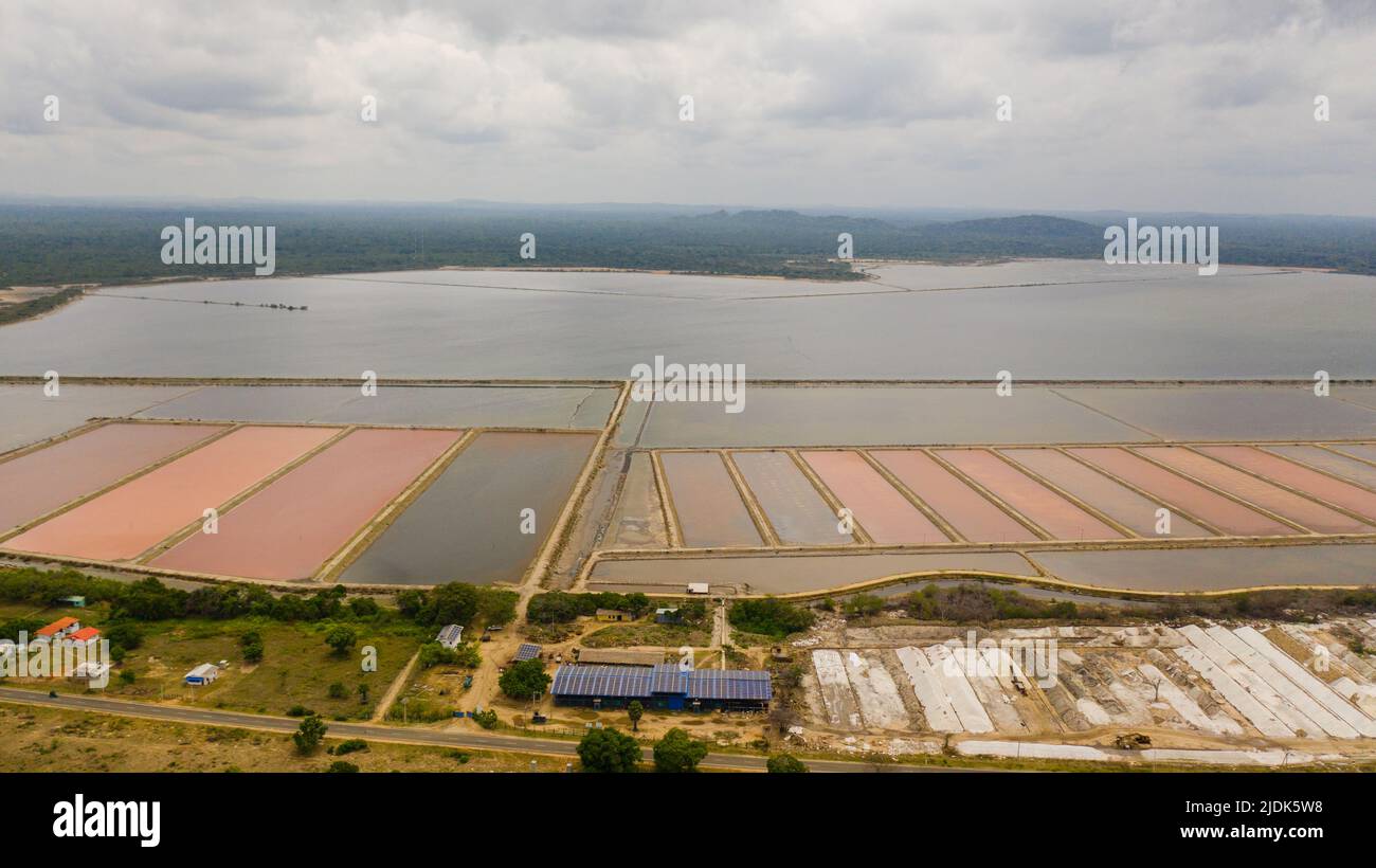 Salt extraction in Sri Lanka by evaporation in salt ponds Stock Photo ...