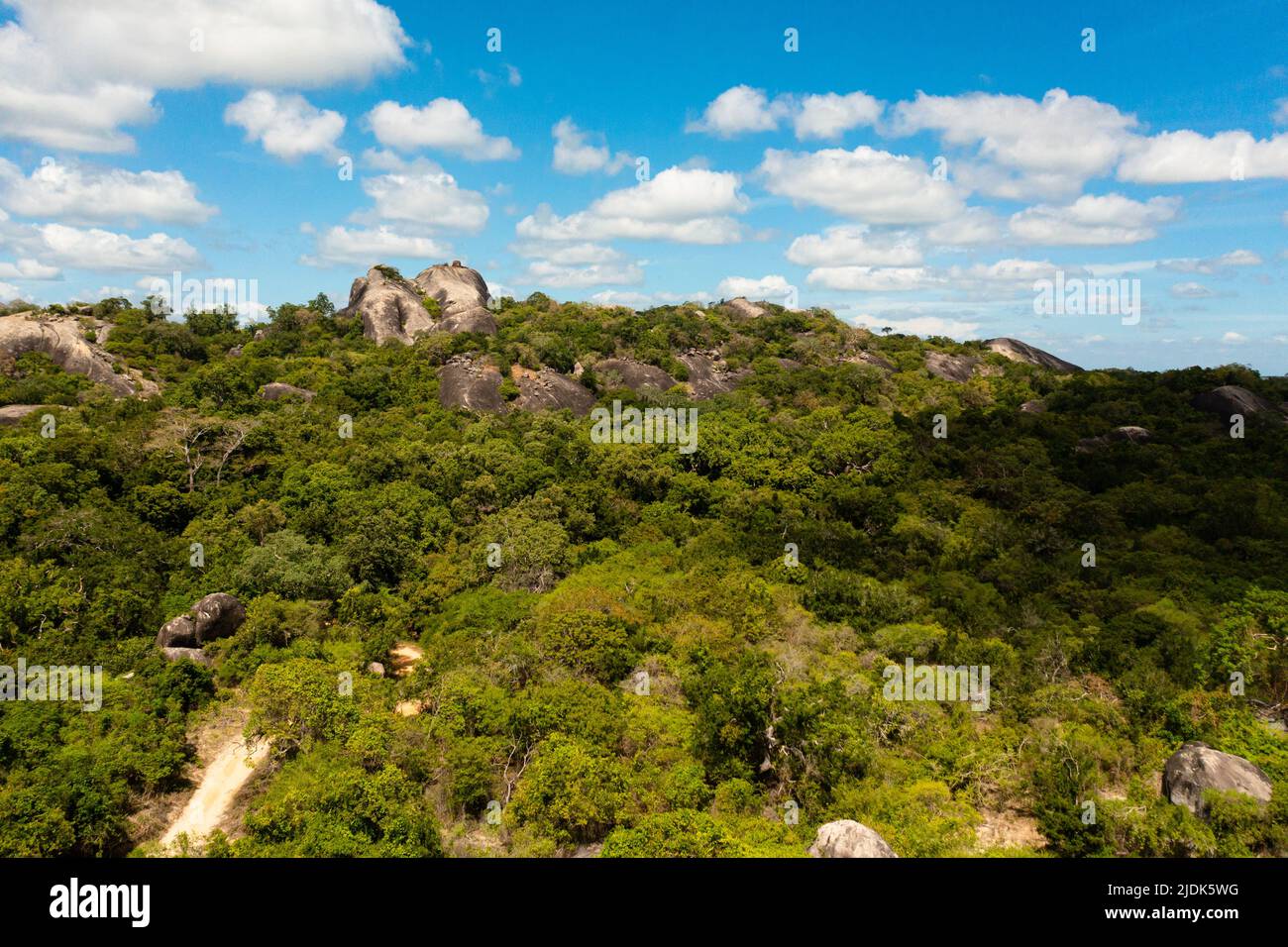 Jungle and rock with a Buddhist monastery. Tropical landscape. Sri ...