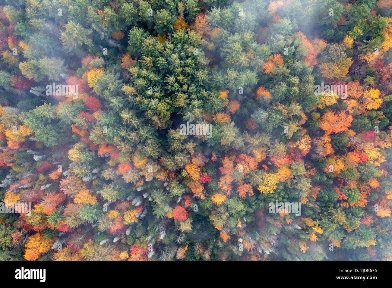 Panoramic view of peak fall foliage in Stowe, Vermont Stock Photo - Alamy