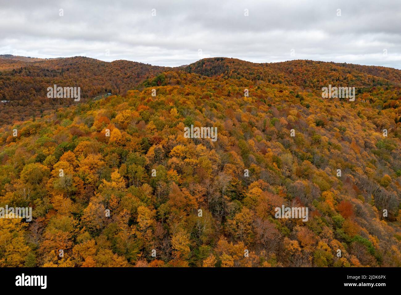 Top down aerial view of colorful trees in autumn in Vermont Stock Photo ...