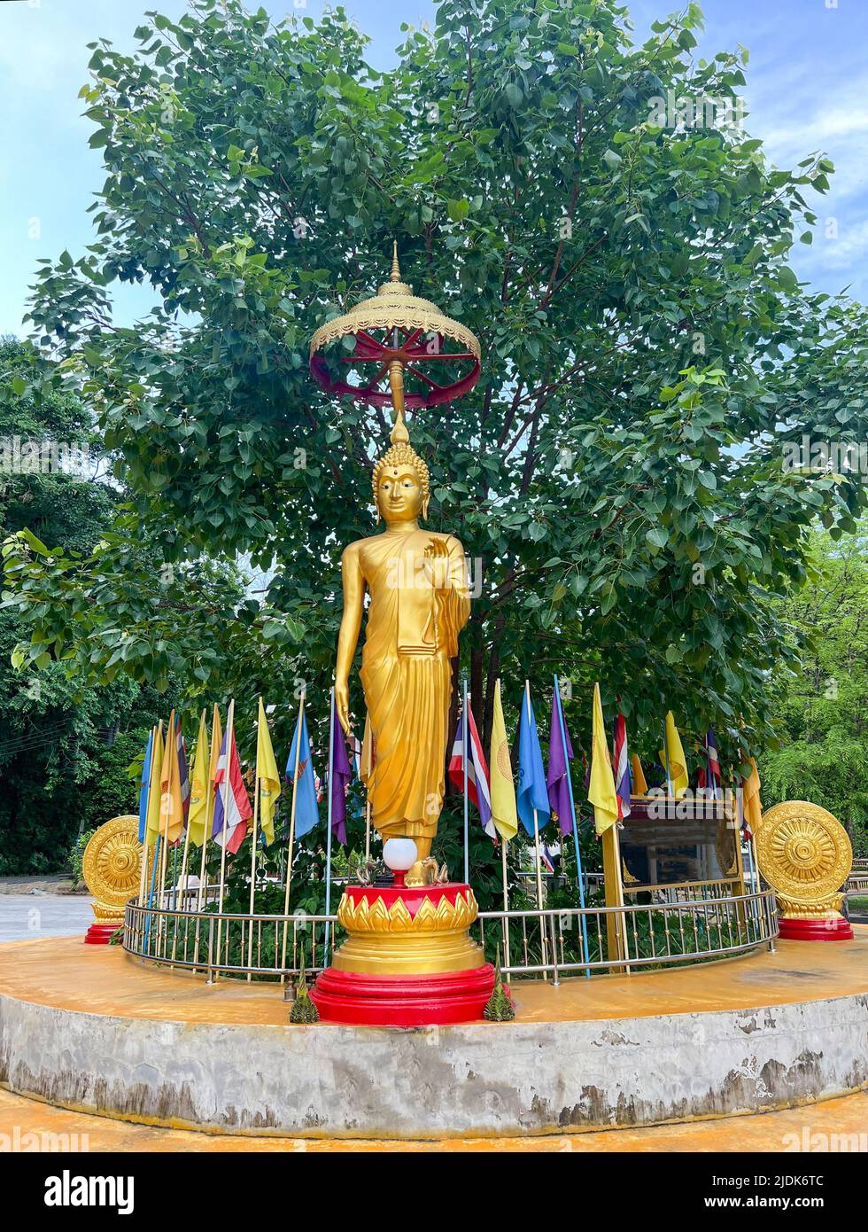 Buddha statue standing bodhi tree background in the temple Thailand ...