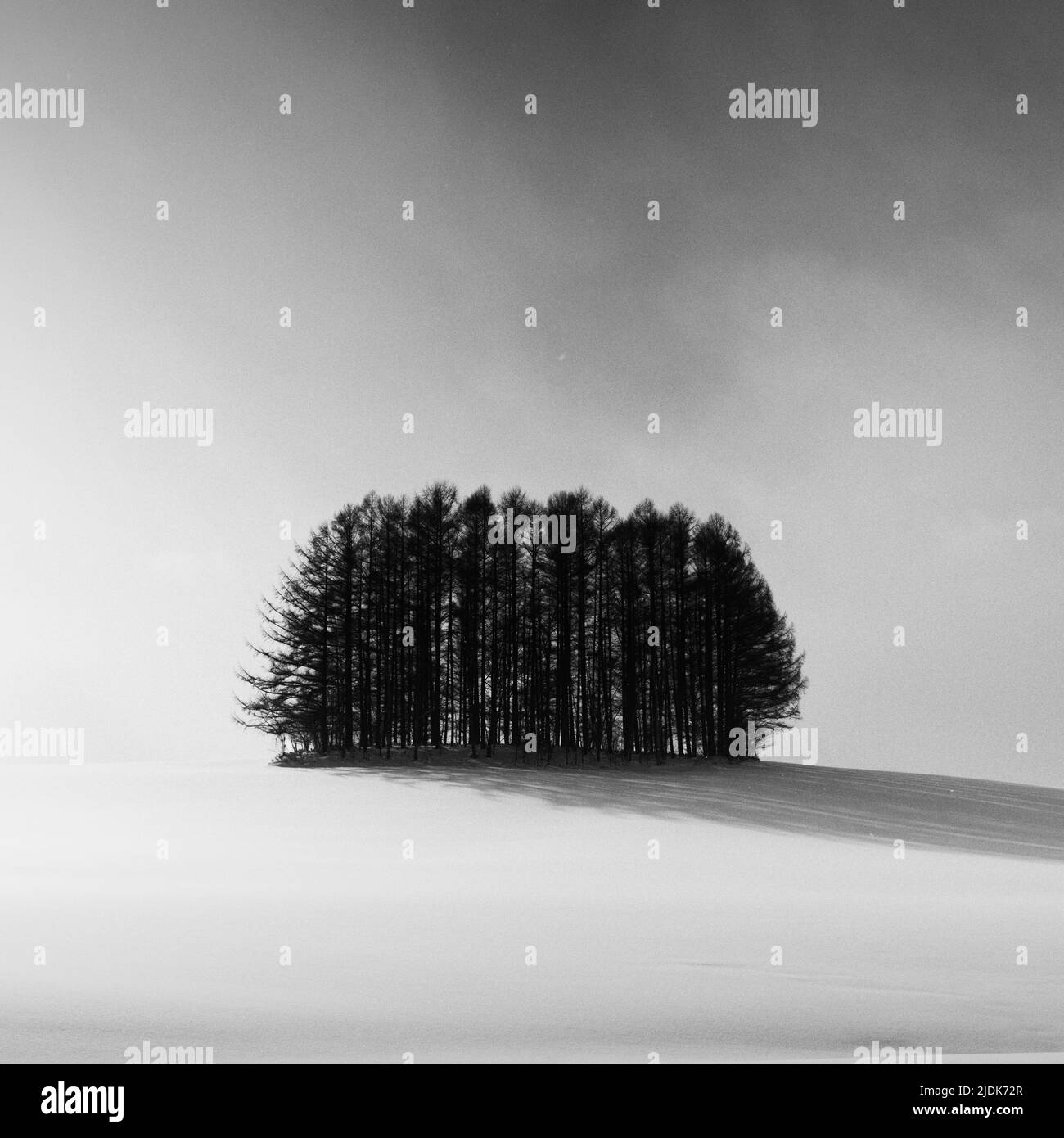 Mild snow Black and White Stock Photos & Images - Alamy