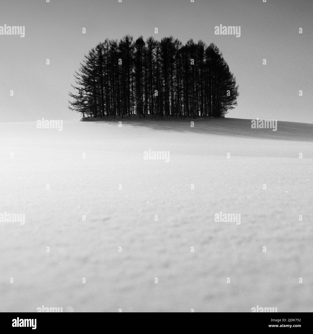 Mild snow Black and White Stock Photos & Images - Alamy
