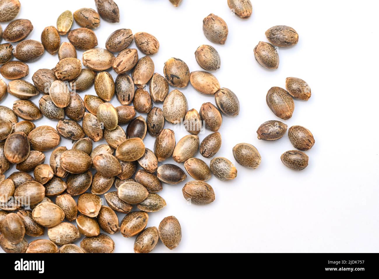 Cannabis seeds , Hemp seeds , Marijuana seed , cannabis seed isolated ...