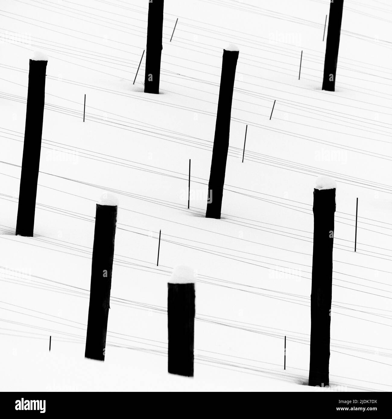 Wooden poles in a snow field in winter, Hokkaido, Japan Stock Photo - Alamy