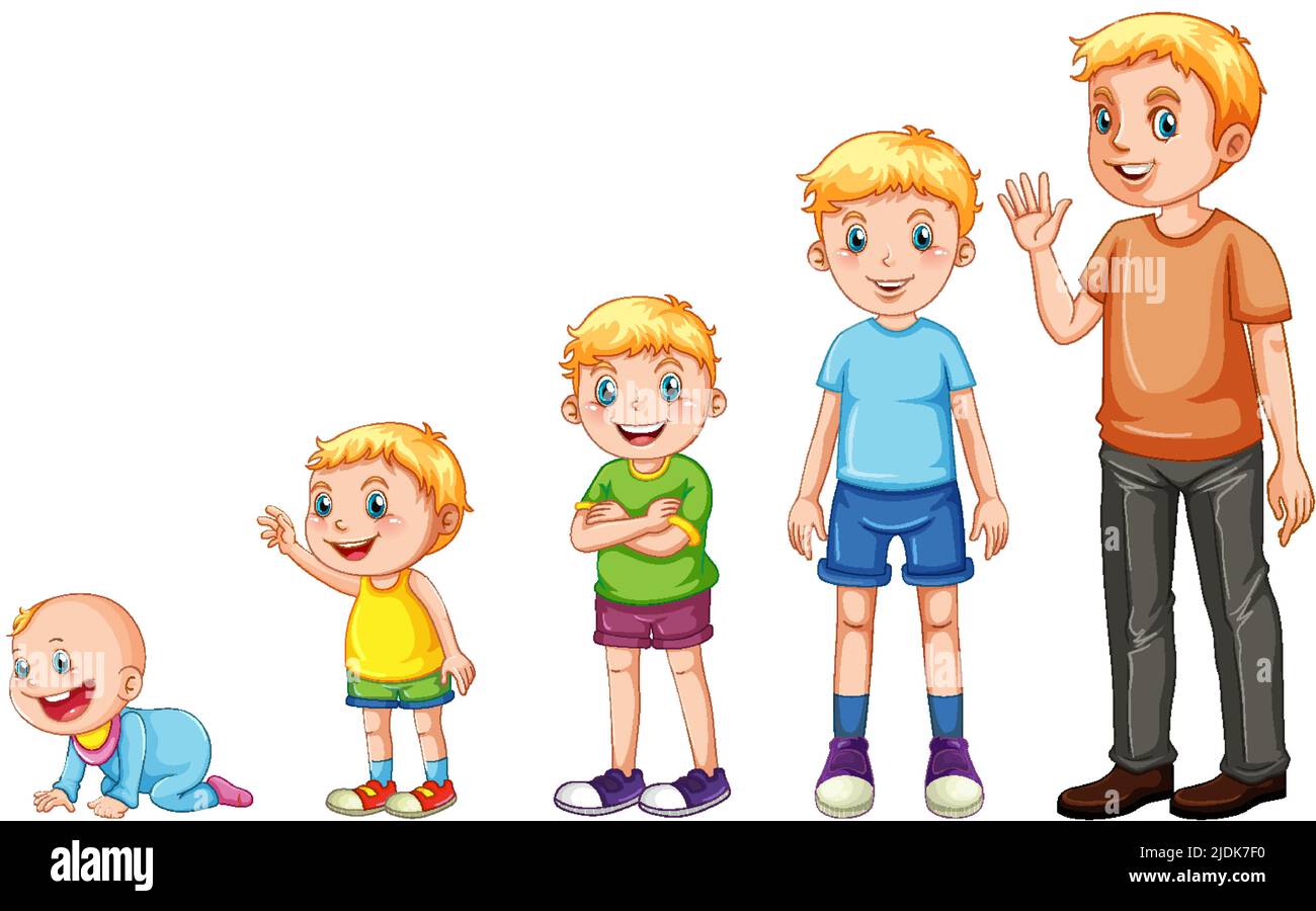 Stages of human growth illustration Stock Vector Image & Art - Alamy