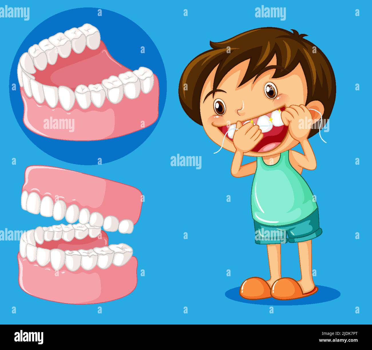 Cute boy cartoon character flossing teeth illustration Stock Vector ...