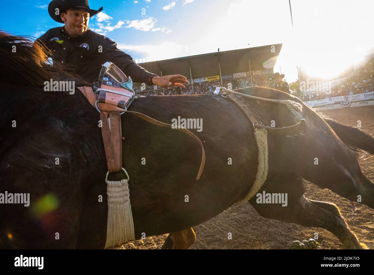 Flank strap hi-res stock photography and images - Alamy