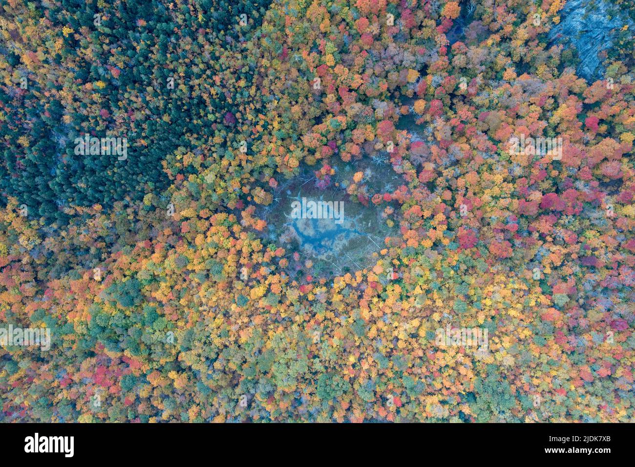 Aerial view of peak fall foliage in Keene, New York in upstate New York ...