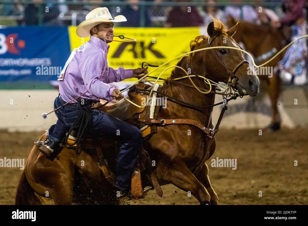 Cash toews hi-res stock photography and images - Alamy