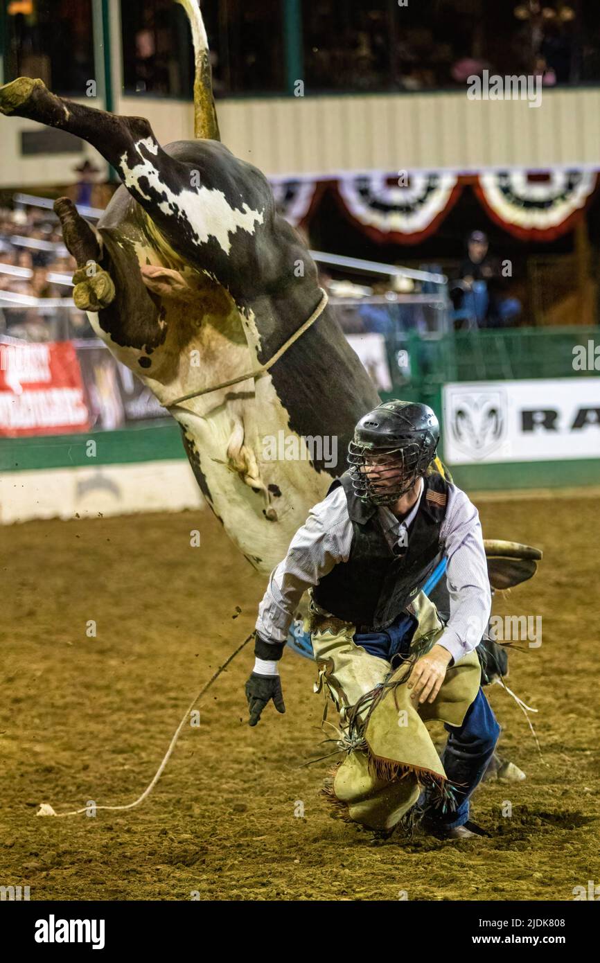 Reno, United States. 20th June, 2022. Caleb McMillan bull riding. The ...