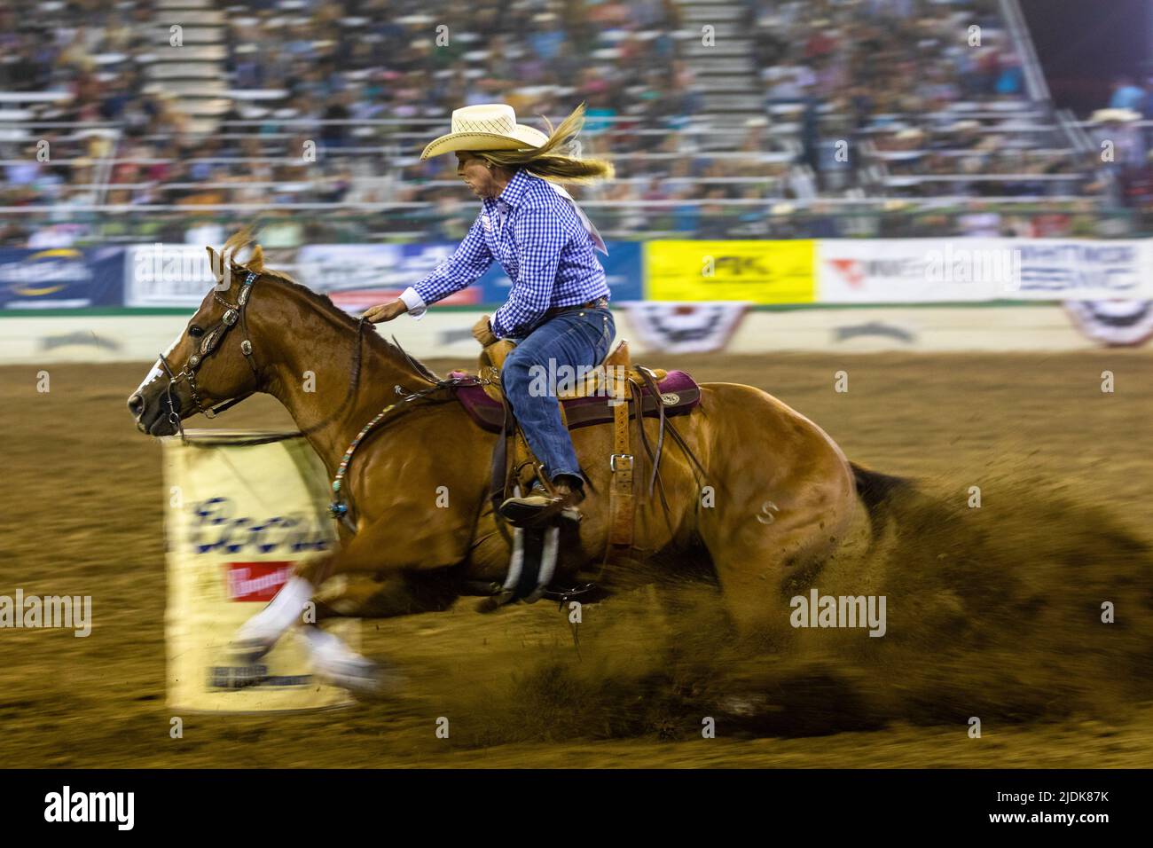 Andrea busby hi-res stock photography and images - Alamy