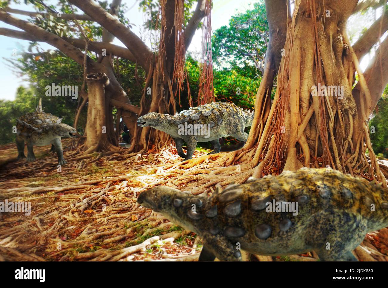 Dracopelta dinosaurs, illustration Stock Photo - Alamy