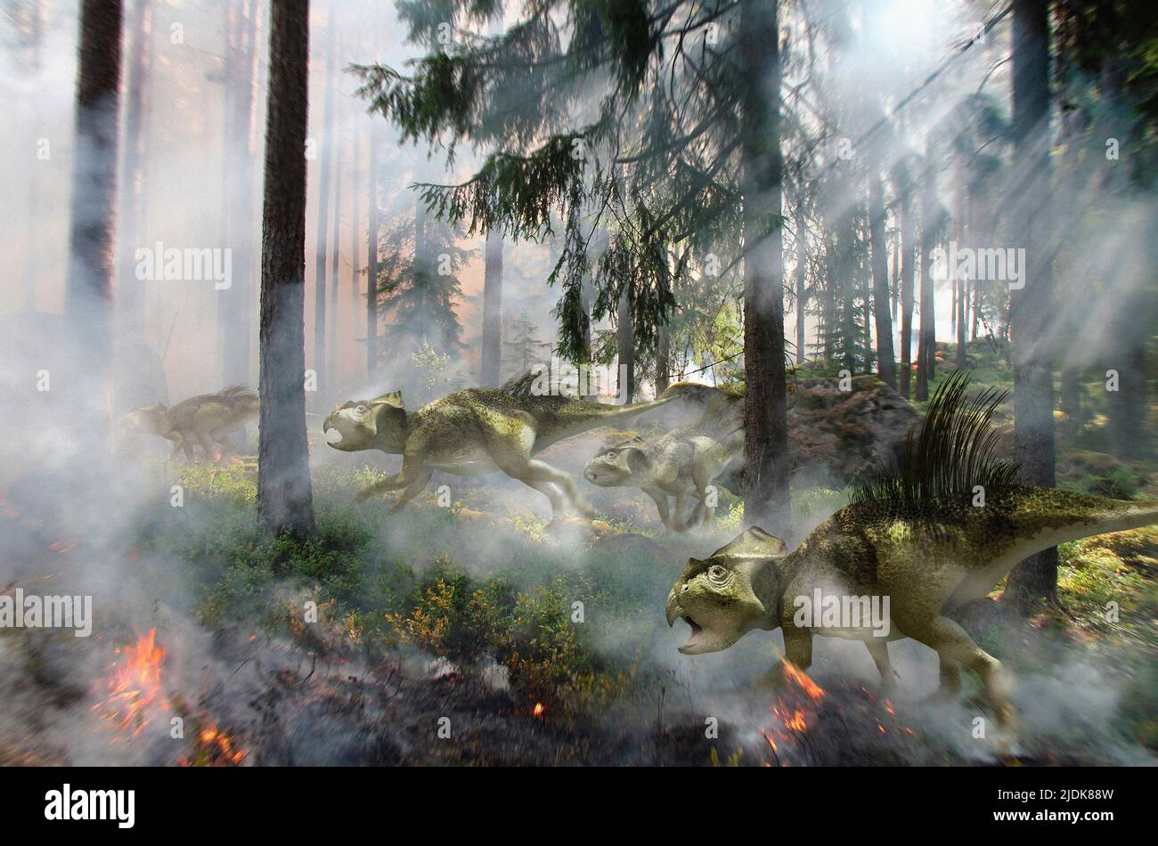 Ajkaceratops herd running towards fire, illustration Stock Photo - Alamy
