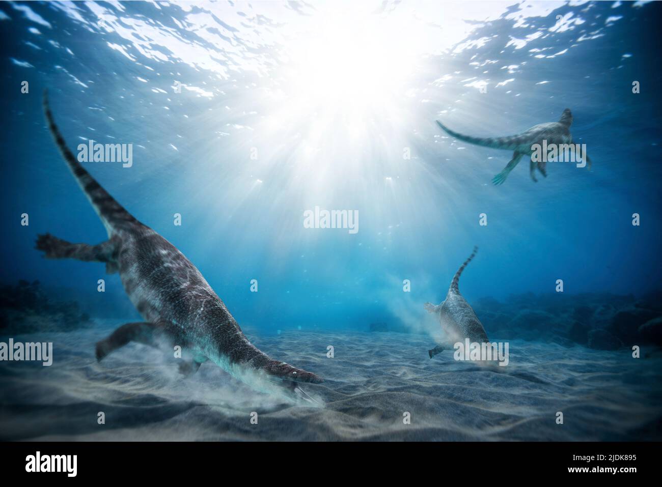 Paludidraco aquatic reptile filter-feeding, illustration Stock Photo ...