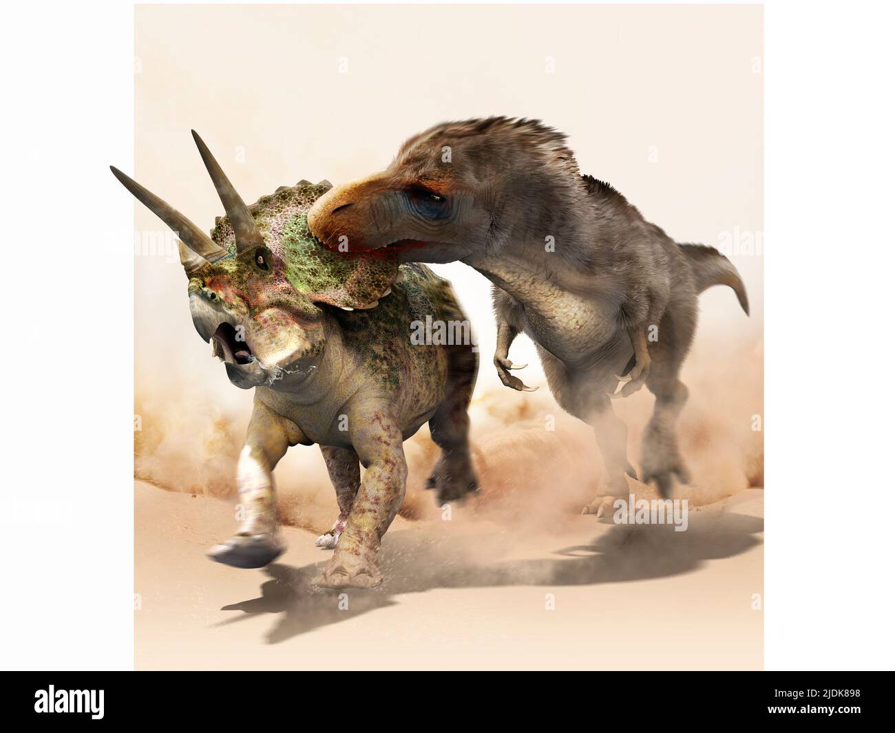 Tyrannosaurus rex hunting, illustration Stock Photo - Alamy